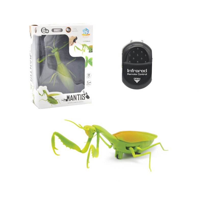 RC Insect Toy Exotic Simulation Insect RC Animal I... – Grandado