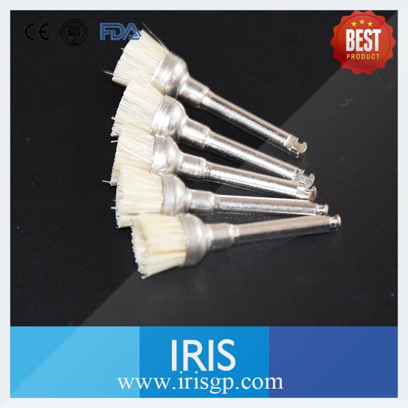 100 pieces Dental Prophy Brush Cup With Handle Bri... – Grandado