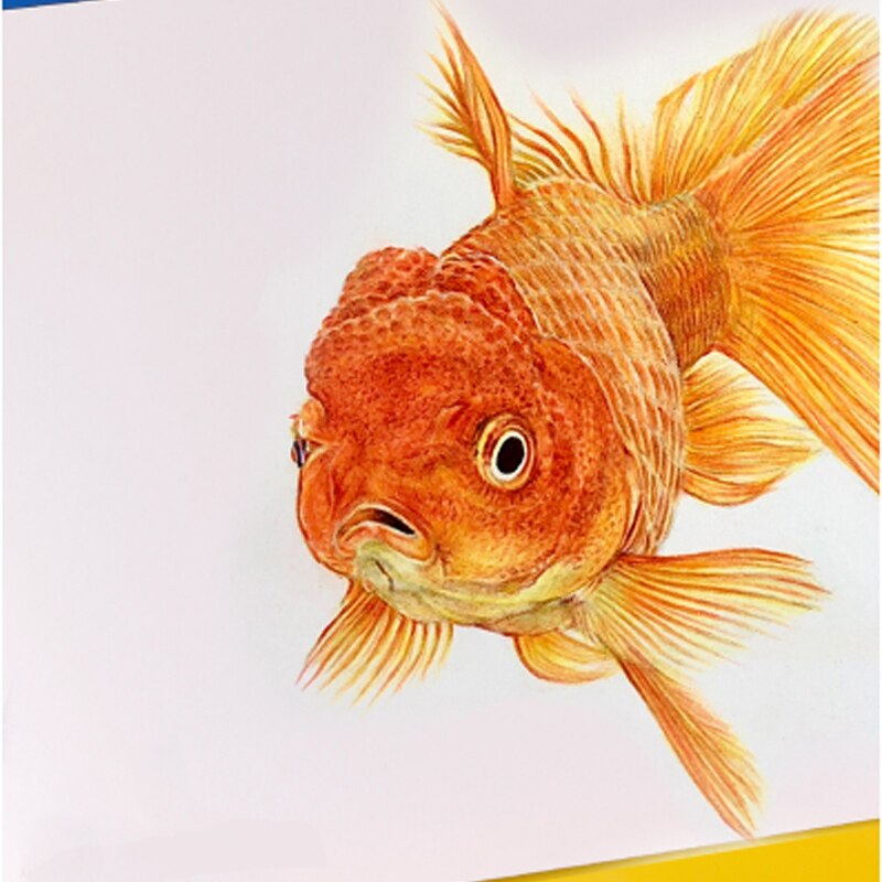 A3/A4 25/30/40 Sheets Sketchbook Notebooks For Dra... – Grandado