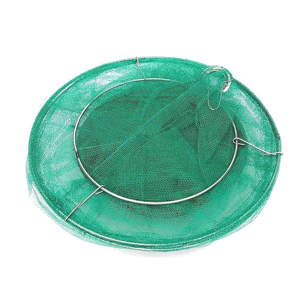 Strongly catch hanging fly trap artifacts trap cag... – Grandado