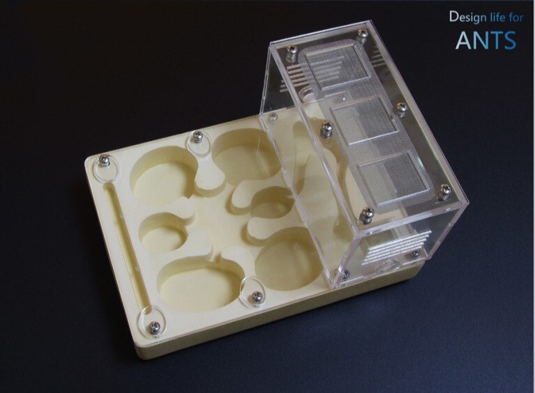 Anthill Ant House Ant Flat Nest Plasterboard Ant F... – Vicedeal