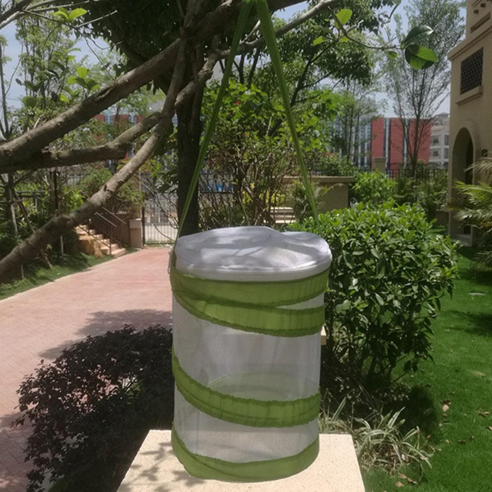 Green Mesh Pop-Up Insect Habitat Cage Cage Mini Me... – Grandado