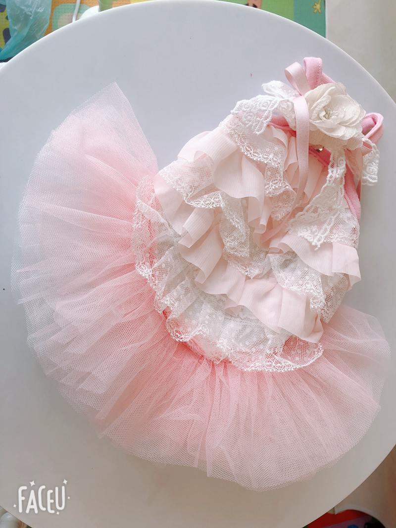 Girl Dog Cat Dress Tutu Lace Pet Puppy Skirt Sprin... – Grandado