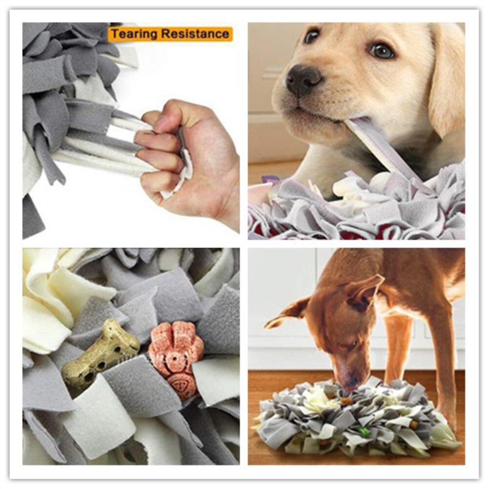 Dog Smell Pet Supplies Training Mat Health Nose In... – Grandado