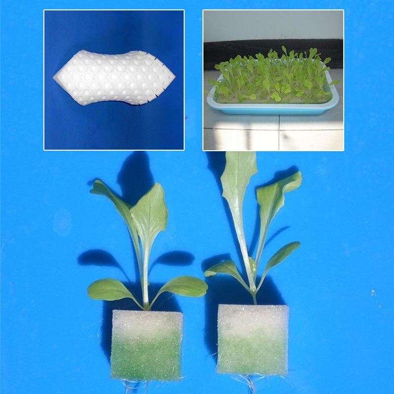 100 Grids Transplanted Sponge Soilless Hydroponic ... – Grandado