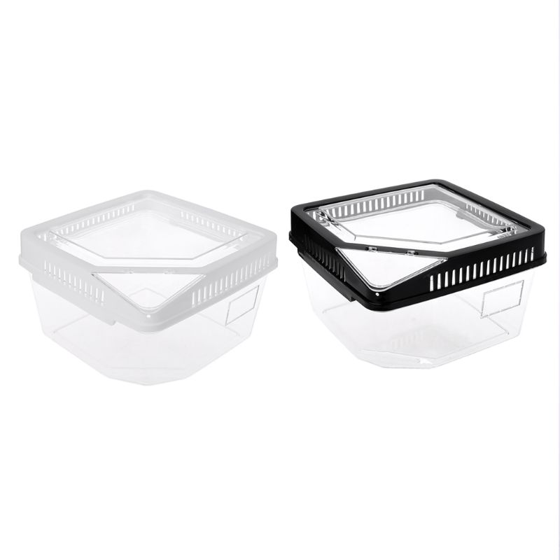 Plastic Container Reptile Feeding Box Spider Scorp... – Grandado