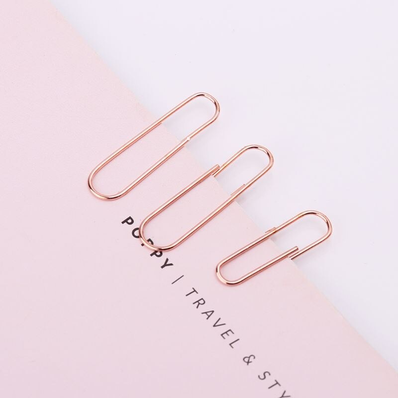 100pcs/set Rose Gold Fall Paperclip Magnetische Cl... – Vicedeal