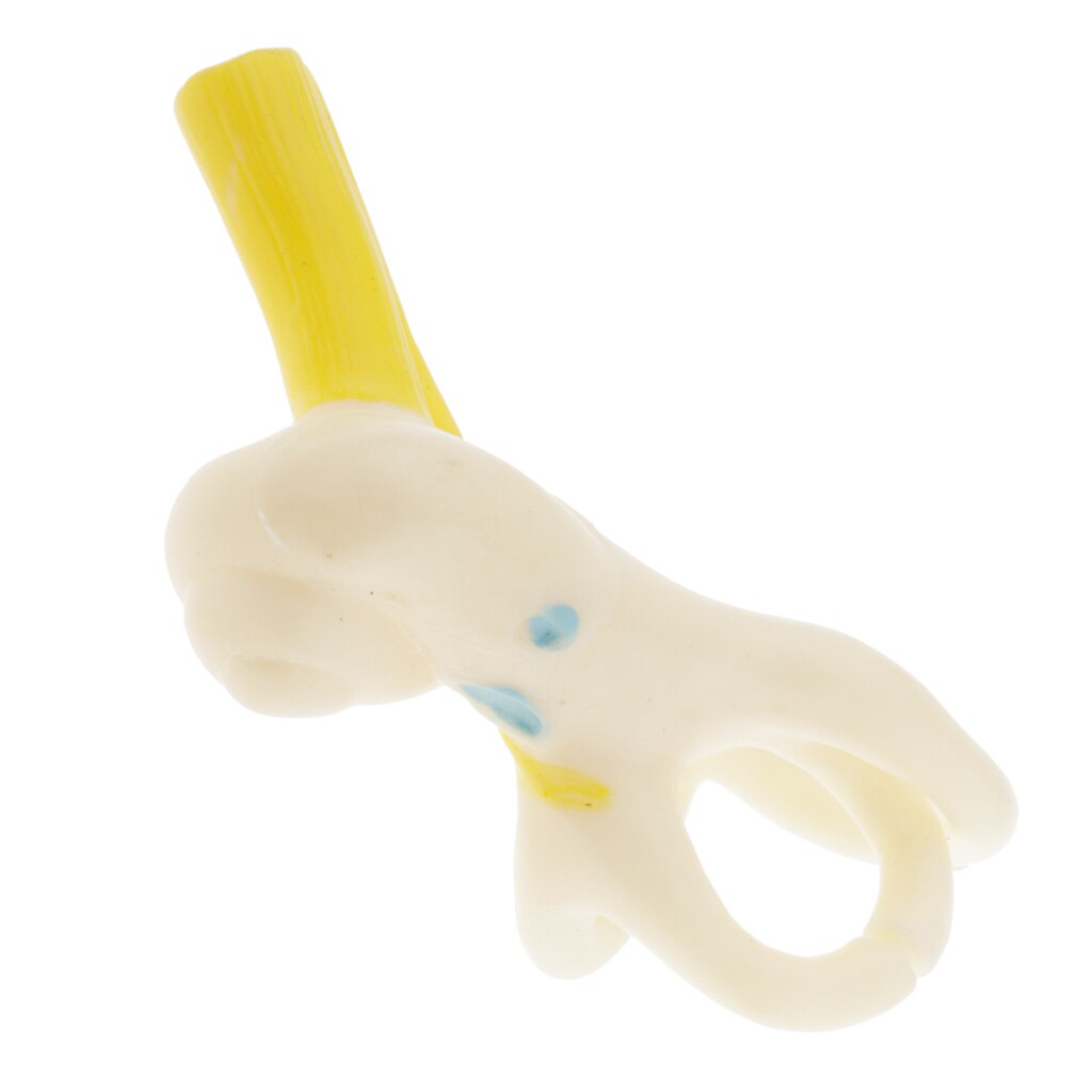 5X Enlarged Human Ear Cochlear Model, Kids Science... – Grandado