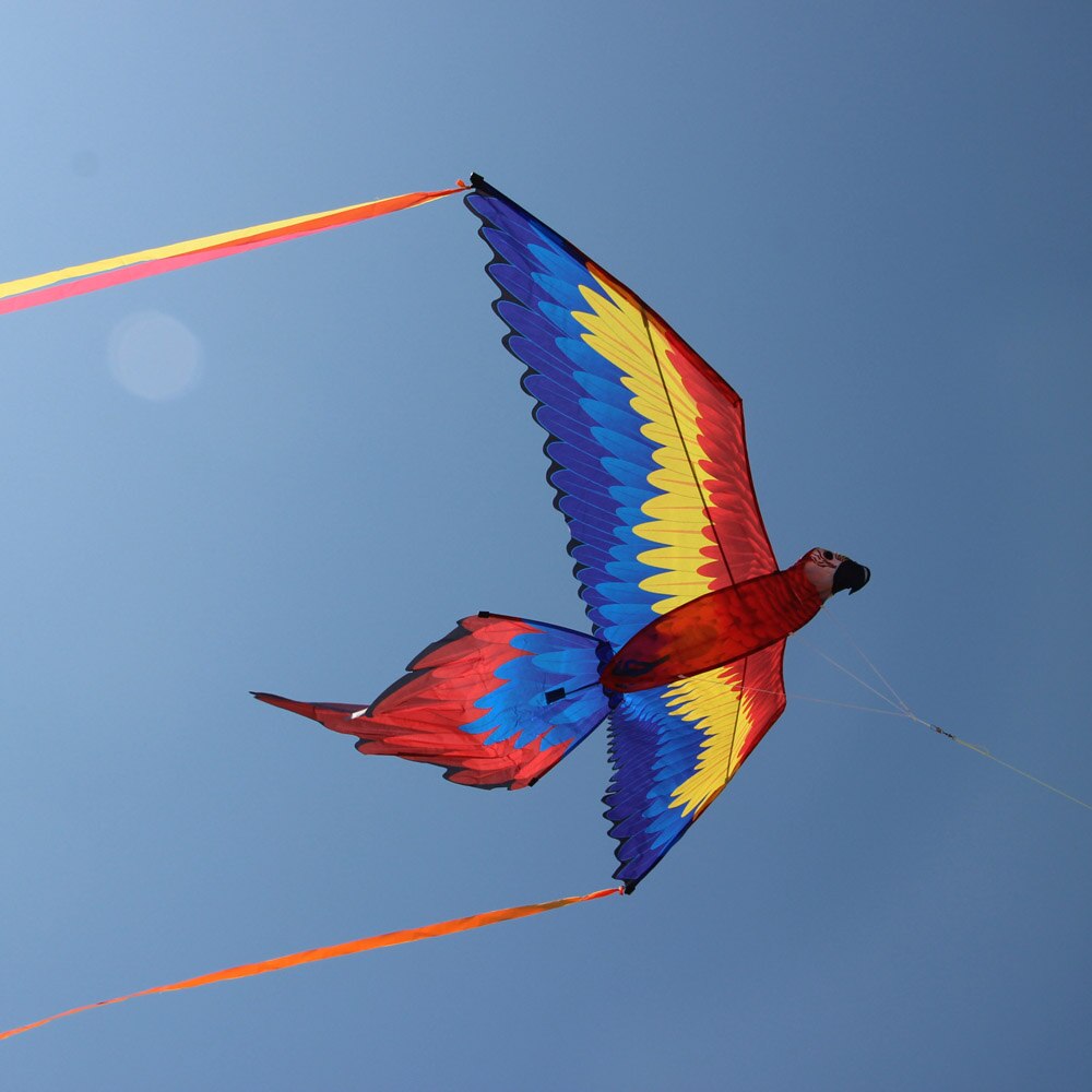 3D solid parrot kite for kids children audlts bird... – Grandado