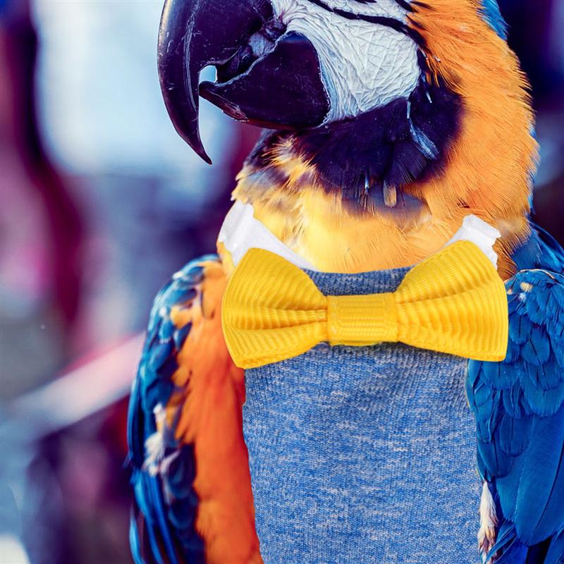 1pc Pet Bird Clothes Comfortable Bird Pant Parrot ... – Grandado
