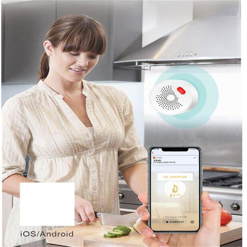 Tuya Air Alarm Combustion Fuel Air WiFi Detector H... – Vicedeal