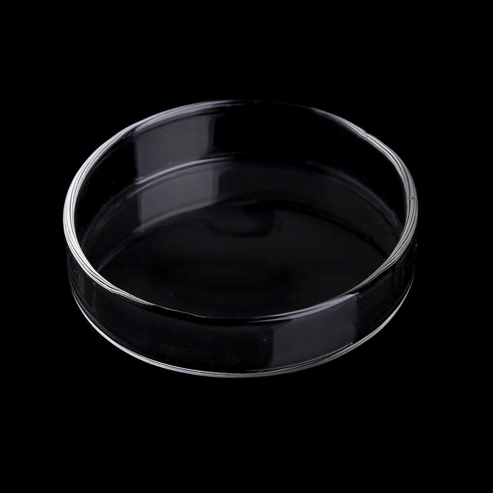 Aquarium Fish Tank Acrylic Shrimp Feeding Food Dis... – Grandado