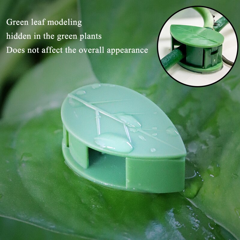 Invisible Plant Climbing Wall Fixture Rattan Vine ... – Grandado