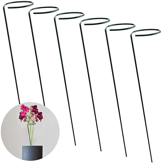 6Pack Plant Support Rod Steel Garden Single Stem S... – Vicedeal