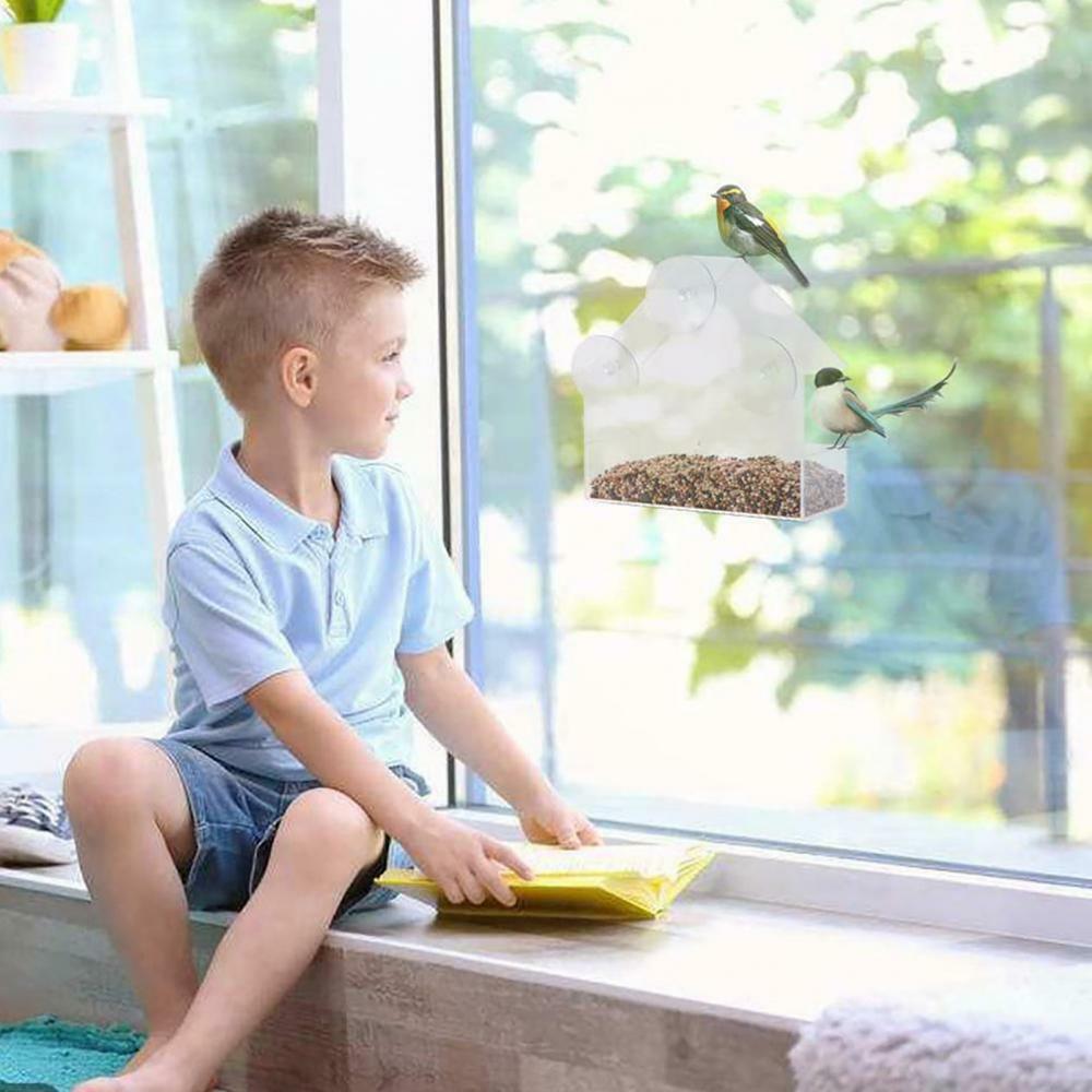 Bird Cages Transparent Acrylic Window Bird Feeder ... – Grandado