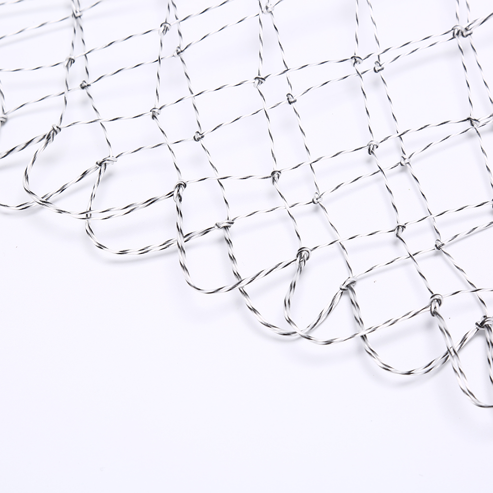 1PC Fishing Net Double Line Braided Mesh Fishing L... – Grandado
