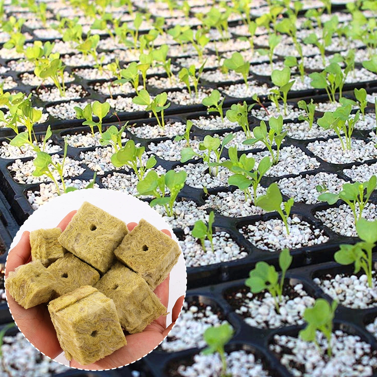 Planting Sponge Rock Wool Starter Plugs Rock Wool ... – Grandado