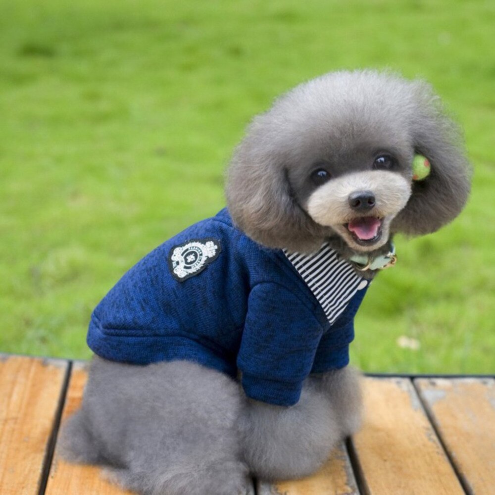 Koreaanse Stijl Hond Knoppen Trui Puppy Fleece Coa... – Grandado