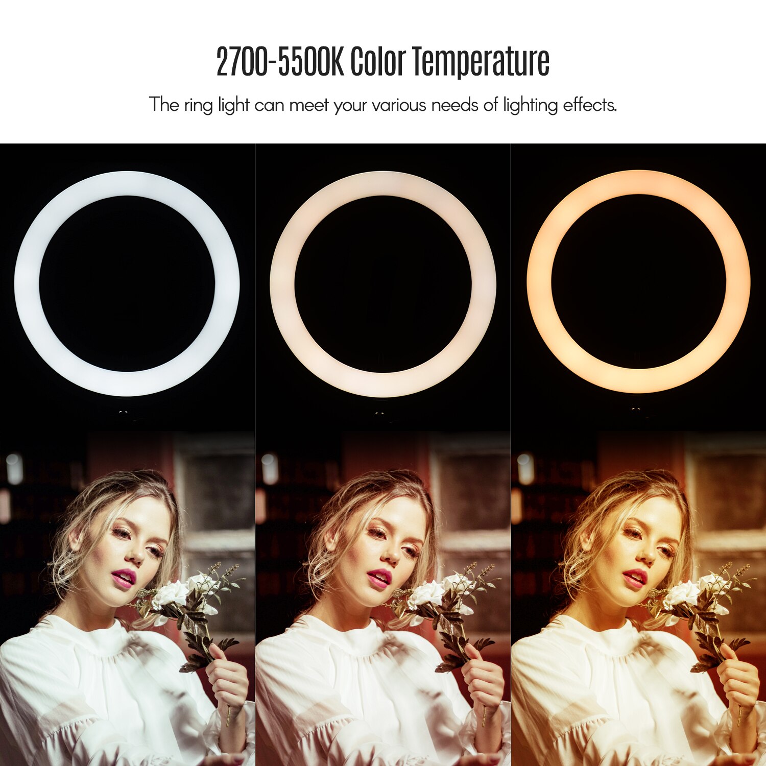 10 Inch 2700-5500K 10W LED Ring Light Fill-in Lamp... – Grandado
