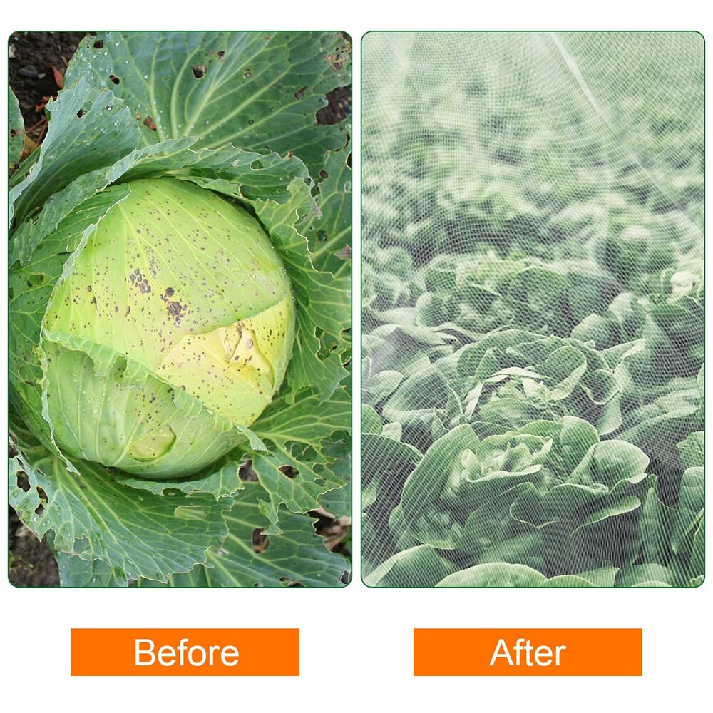 Insect Bescherming Netto Insect Bird Net Barrier G... – Grandado