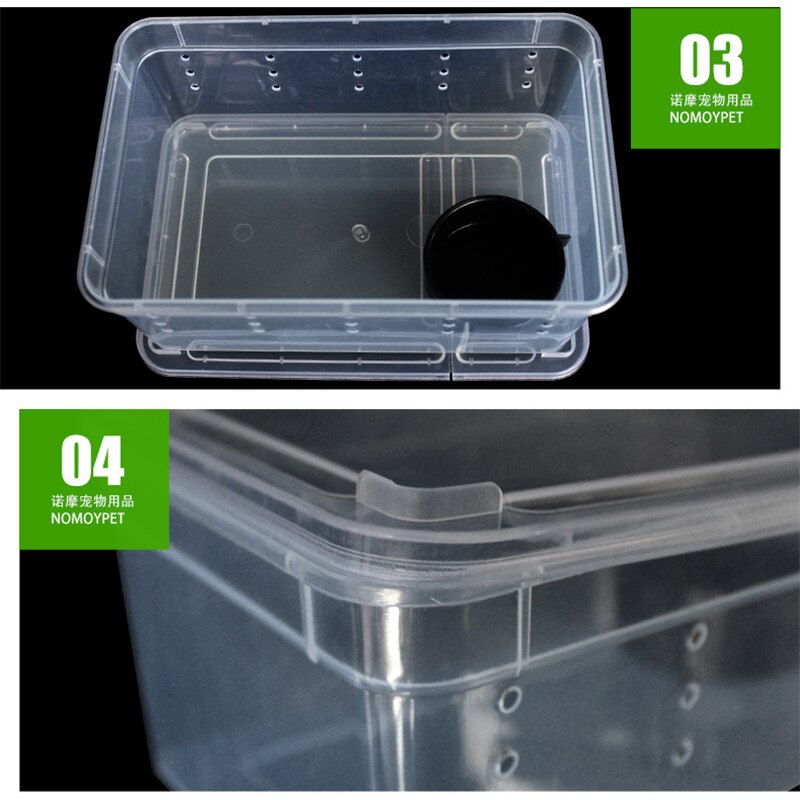 5pcs Reptile Feeding Box Transparent Plastic Box R... – Grandado