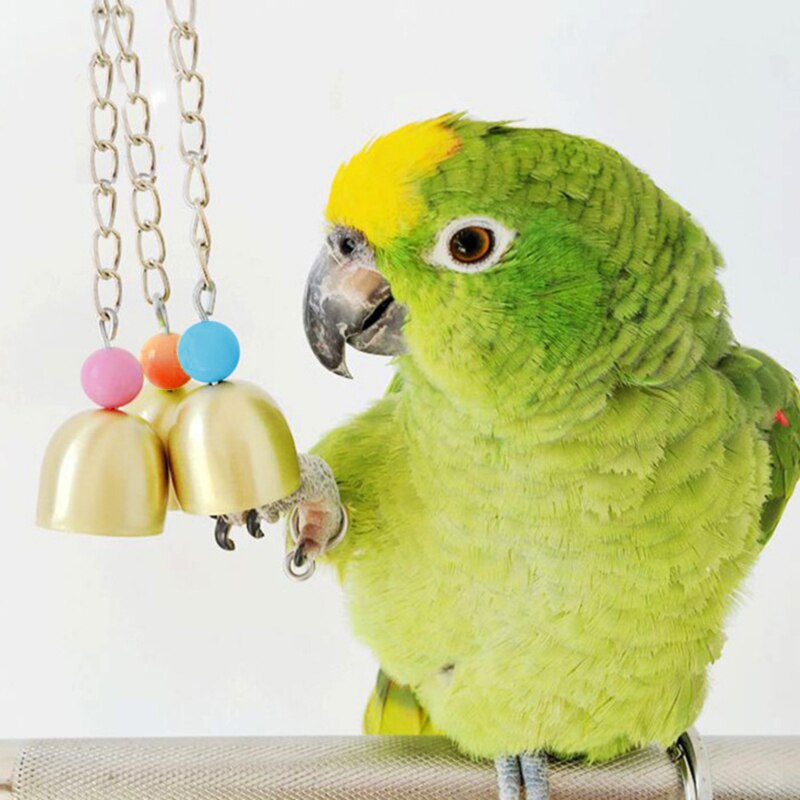 Parrot Bird Toys Hanging Bell for Parrots Cockatie... – Grandado