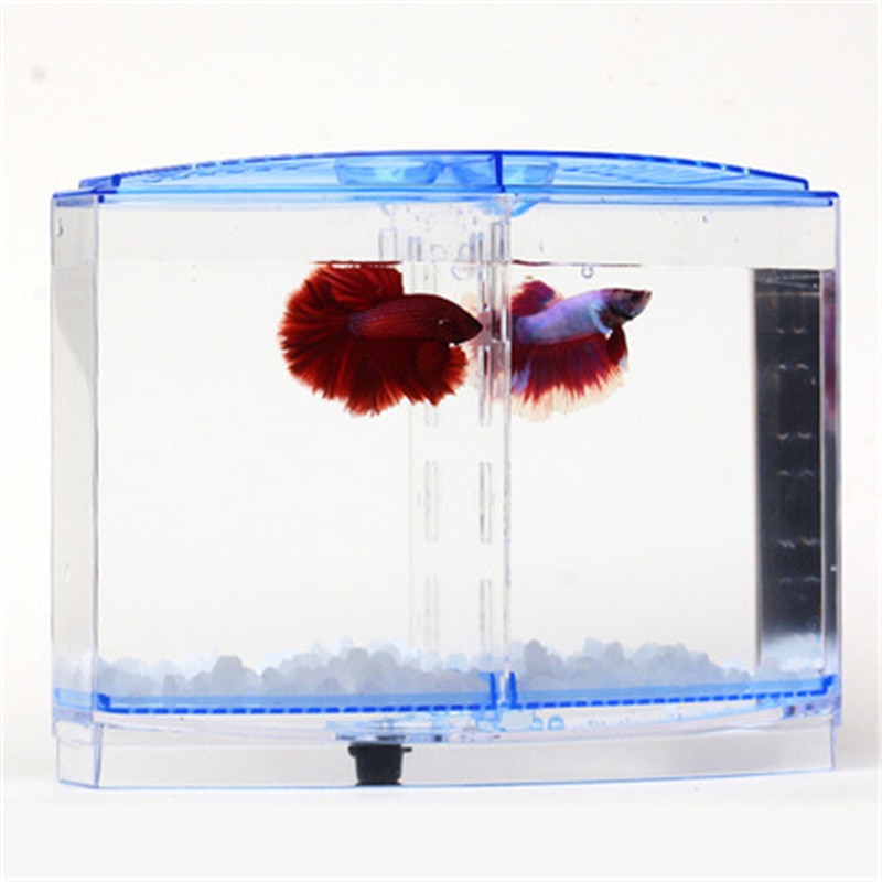 Mini Fish Tank Aquarium Betta Box Transparent Arcy... – Grandado