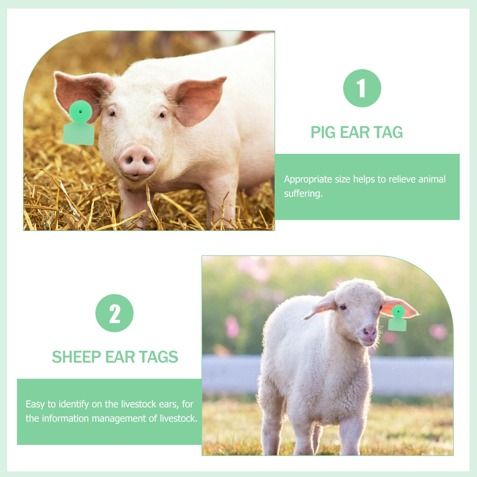 100Pcs Plastic Ox Id Tag Dier Oor Tags Dier Tags K... – Vicedeal