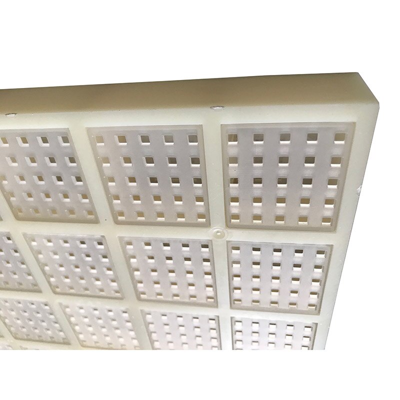 1pcs queen bee cage box queen bee storage device p... – Grandado