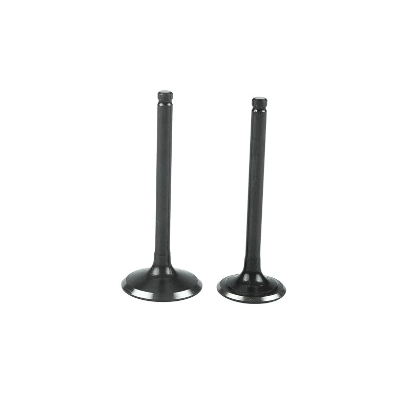 A Pair 52.4mm Bore Motorcycle Intake Valves Pair F... – Grandado