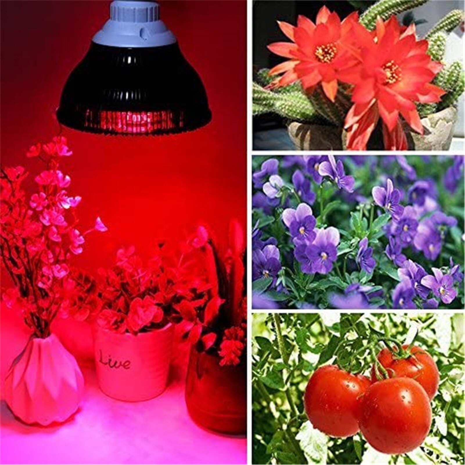 LED Grow Light Full Spectrum Red Blue UV IR Led Gr... – Grandado