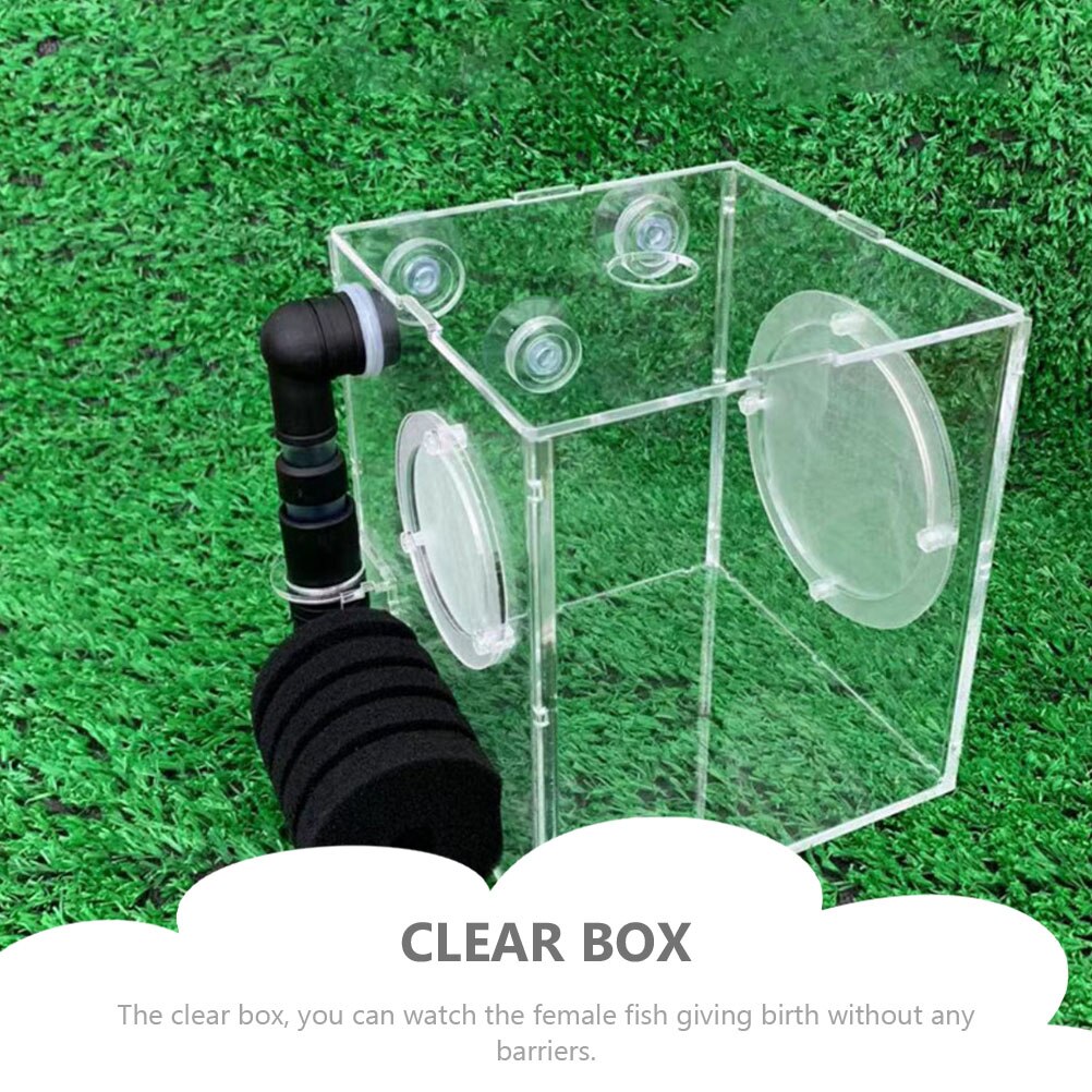 Fish Breeding Box Fish Hatchery Isolation Box Fish... – Grandado