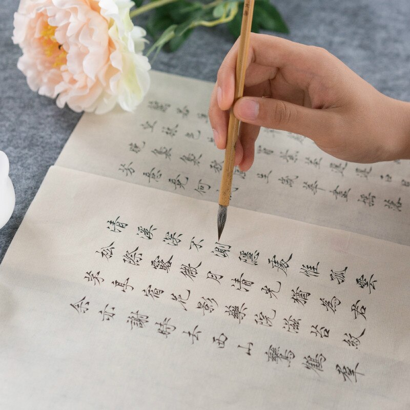 Chinese Mutiple Hair Calligraphy Brushes Weasel Ha... – Vicedeal