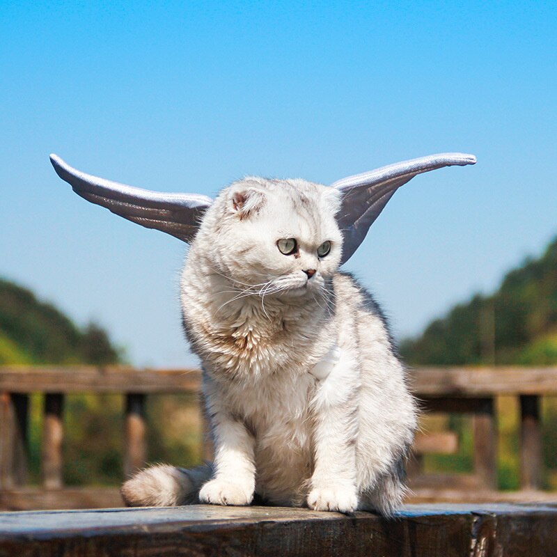 Cute Angel Wings Cat Costume Hat Dog Accessories P... – Grandado
