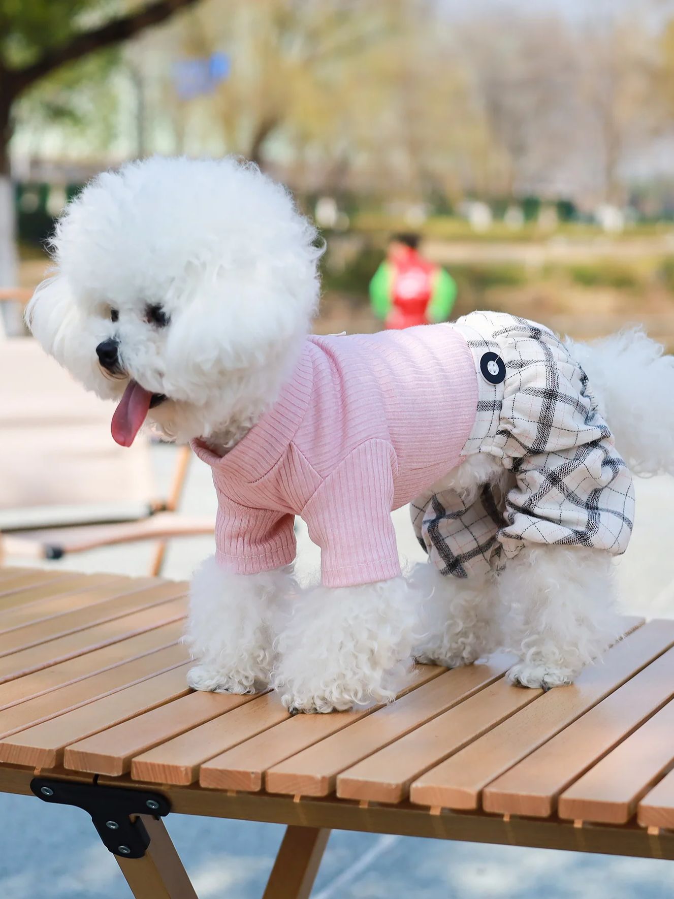 Dog clothes for spring & autumn four legged, thin ... – Vicedeal