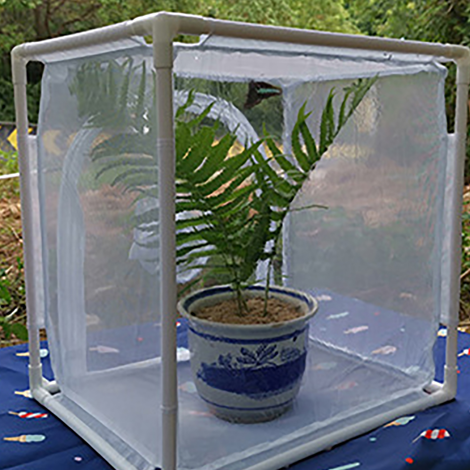 PVC bracket, insect rearing cage, plant cage, inse... – Grandado