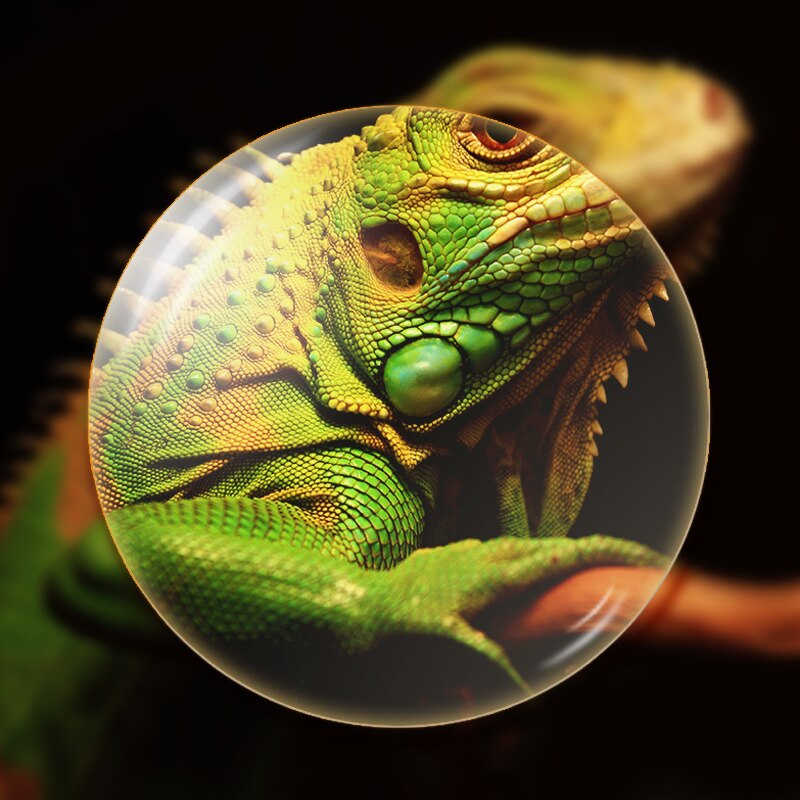 Xinze 1.67 index glazen op sterkte bijziendheid pr... – Grandado