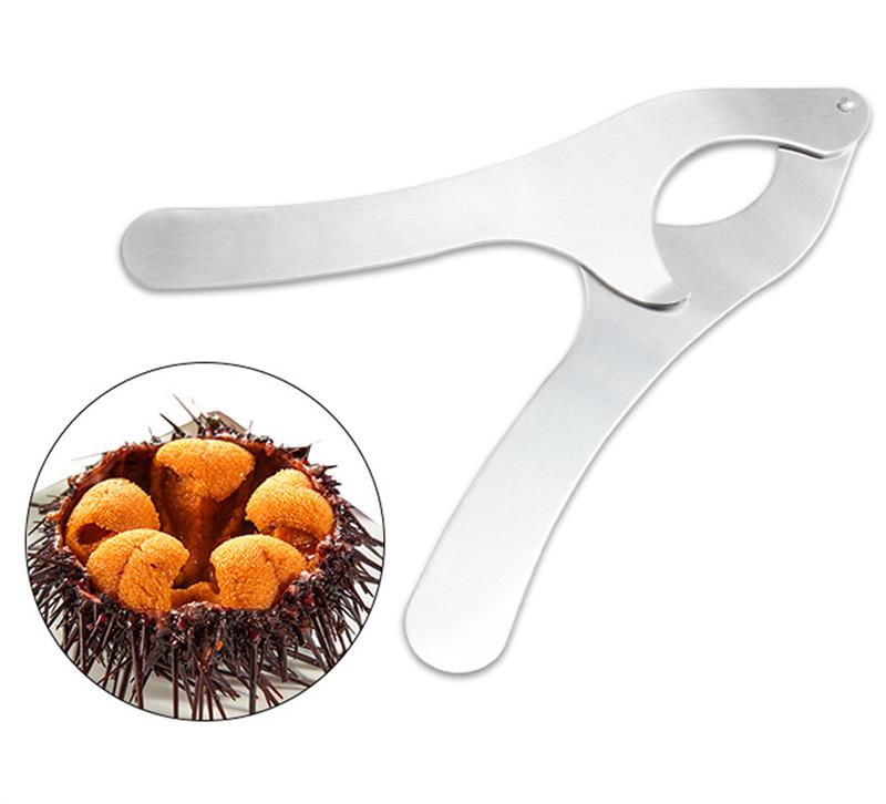 Stainless Steel Sea Urchin Opener Scissors Echinus... – Grandado