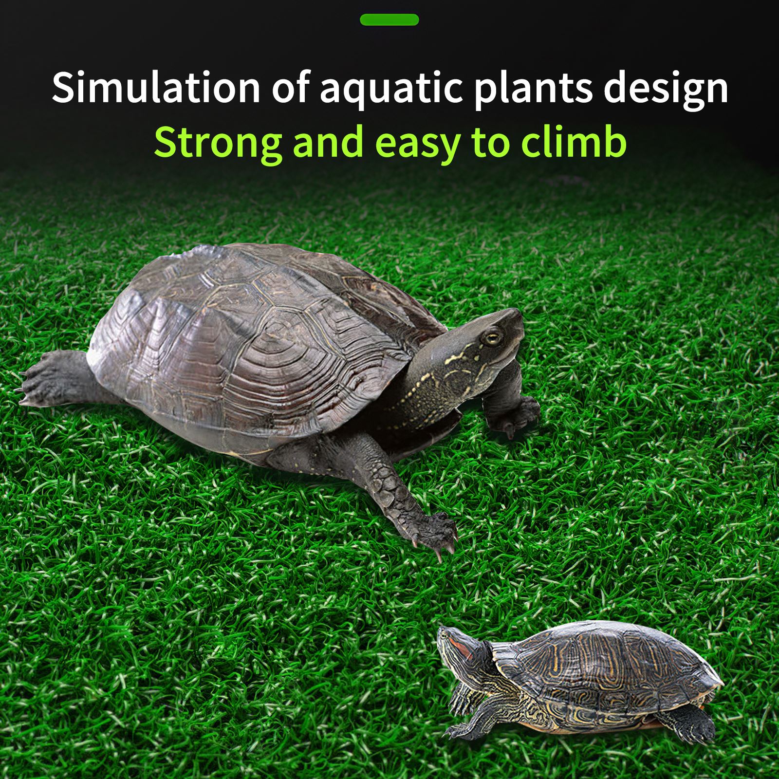Turtle Basking Platform S L Floating Turtle Rest P... – Vicedeal