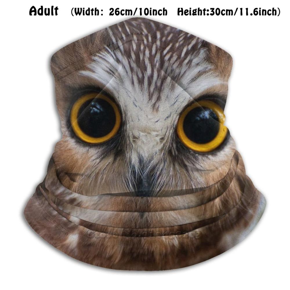 Northern Saw Whet Owl Portrait 3d Bandana Face Nec... – Vicedeal