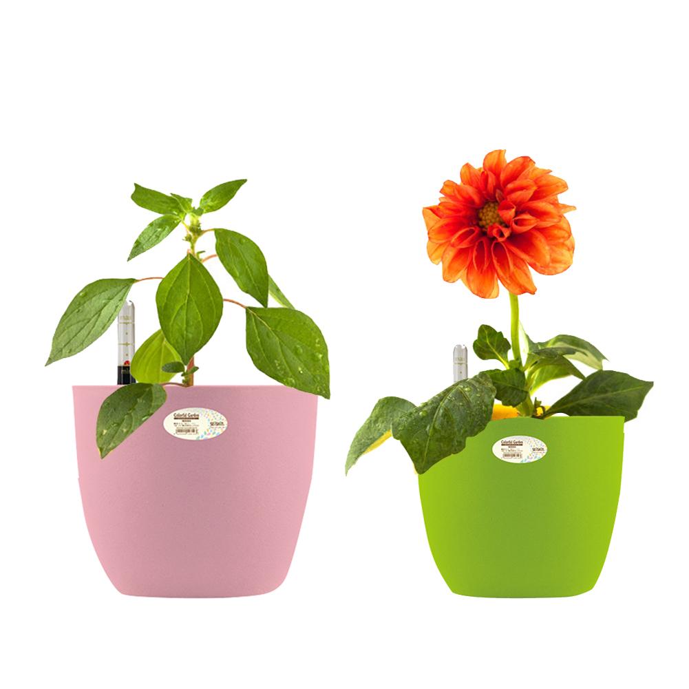 Auto Irrigate Flower Vase Automatic Watering Plant... – Grandado