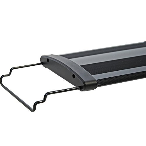 Beamswork LED Pent 24 0.50W Timer Aquarium Light F... – Grandado