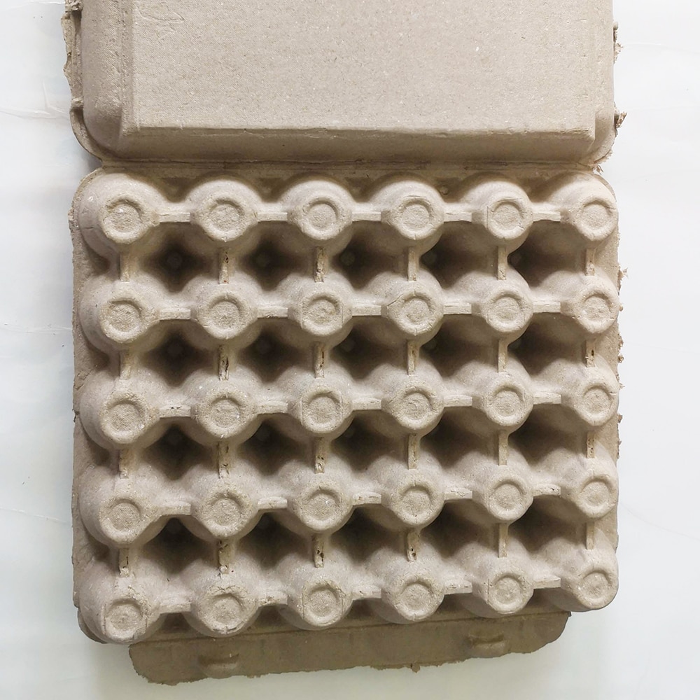 6pcs 30 Cell Pulg Egg Flats Carton With Cover Pape... – Grandado