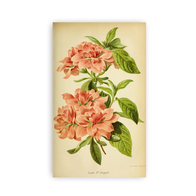 Vintage Botanical Floral Posters Art Prints Rustic... – Grandado