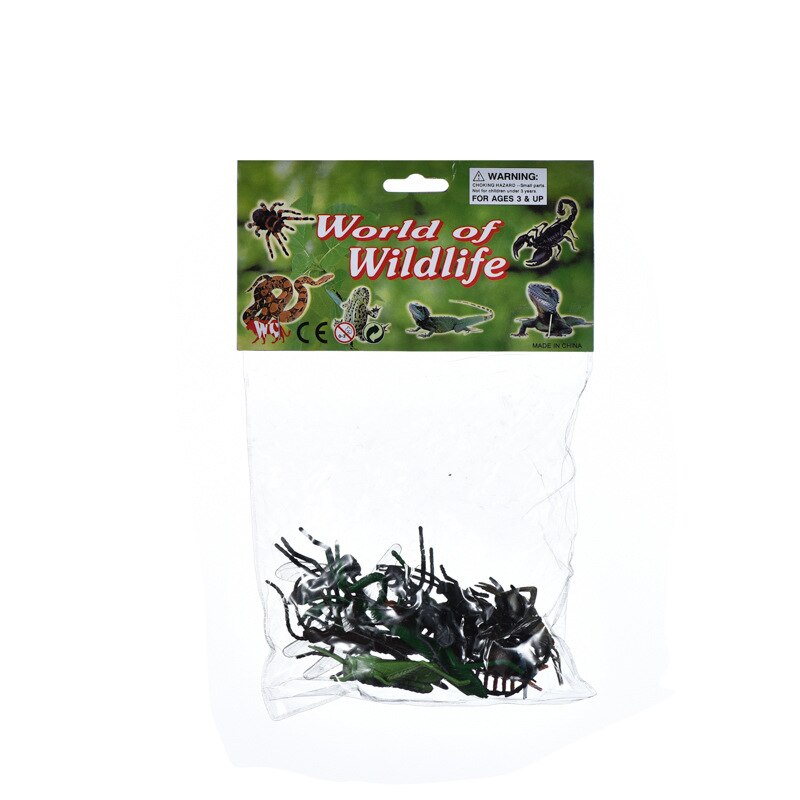 Cognitive Toys 12PCS Plastic Realistic Bugs Lifeli... – Grandado
