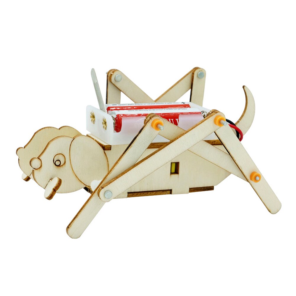 Kids Wooden Model Crawling Dog Scientific Inventio... – Grandado