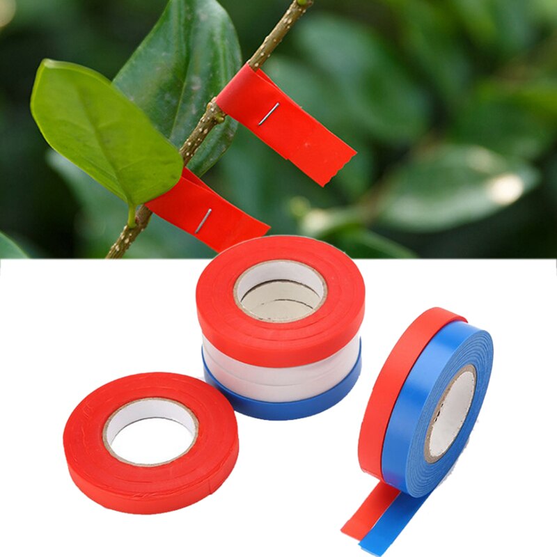 Planta rama Correa atar cinta vegetal flor conecta... – Grandado