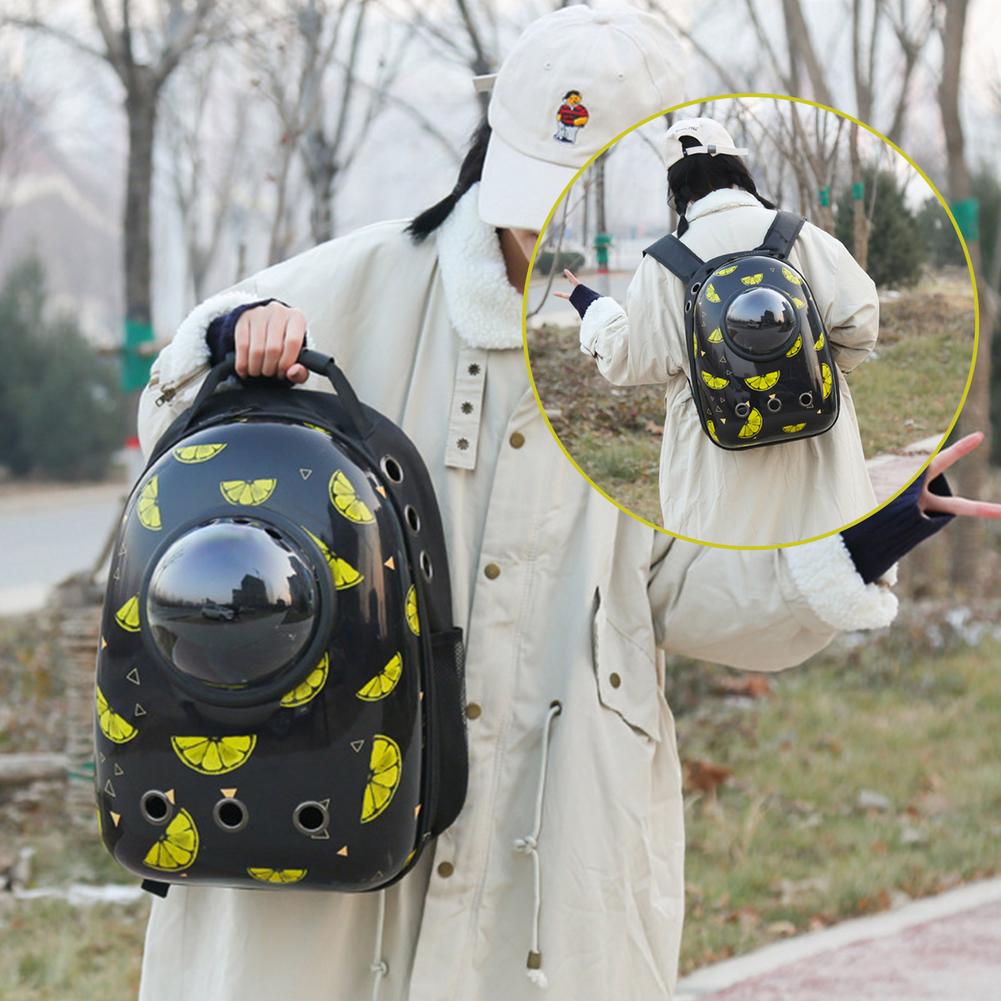 Portable Dog Cat Carrier Bag Breathable Space Caps... – Vicedeal