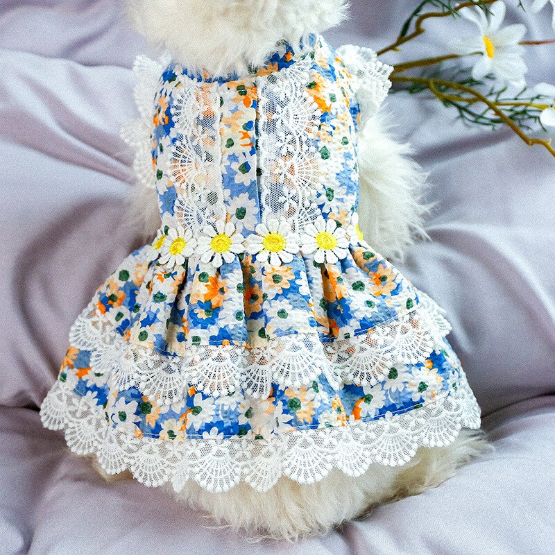 Daisy Lace Cat Puppy Dog Dresses Summer Girl Chihu... – Grandado
