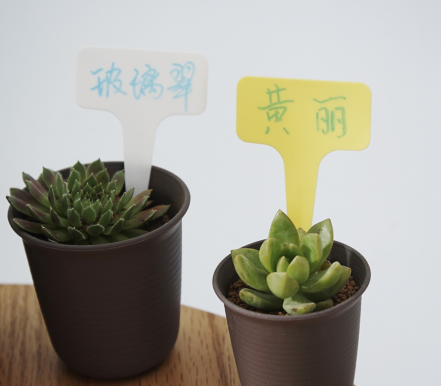 50Pcs Tuinieren Plant Label Waterdichte Plant Mark... – Grandado